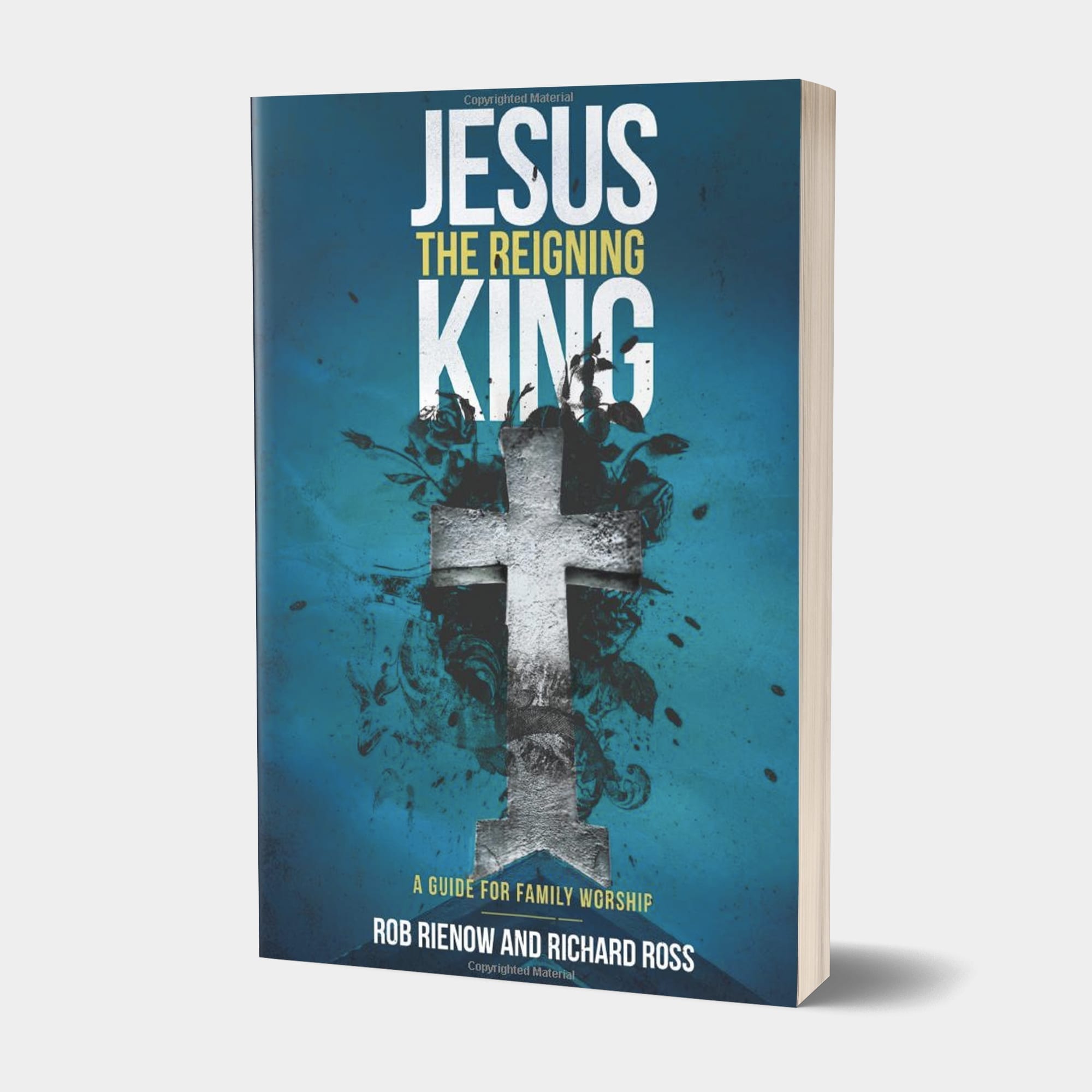 Jesus: The Reigning King: A Guide for Family Worship - Visionary Family ...